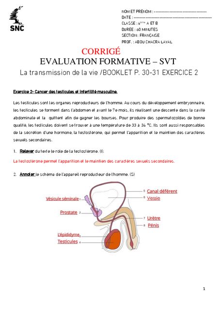 SVT-4ème-2024/2025 - Digipad by La Digitale